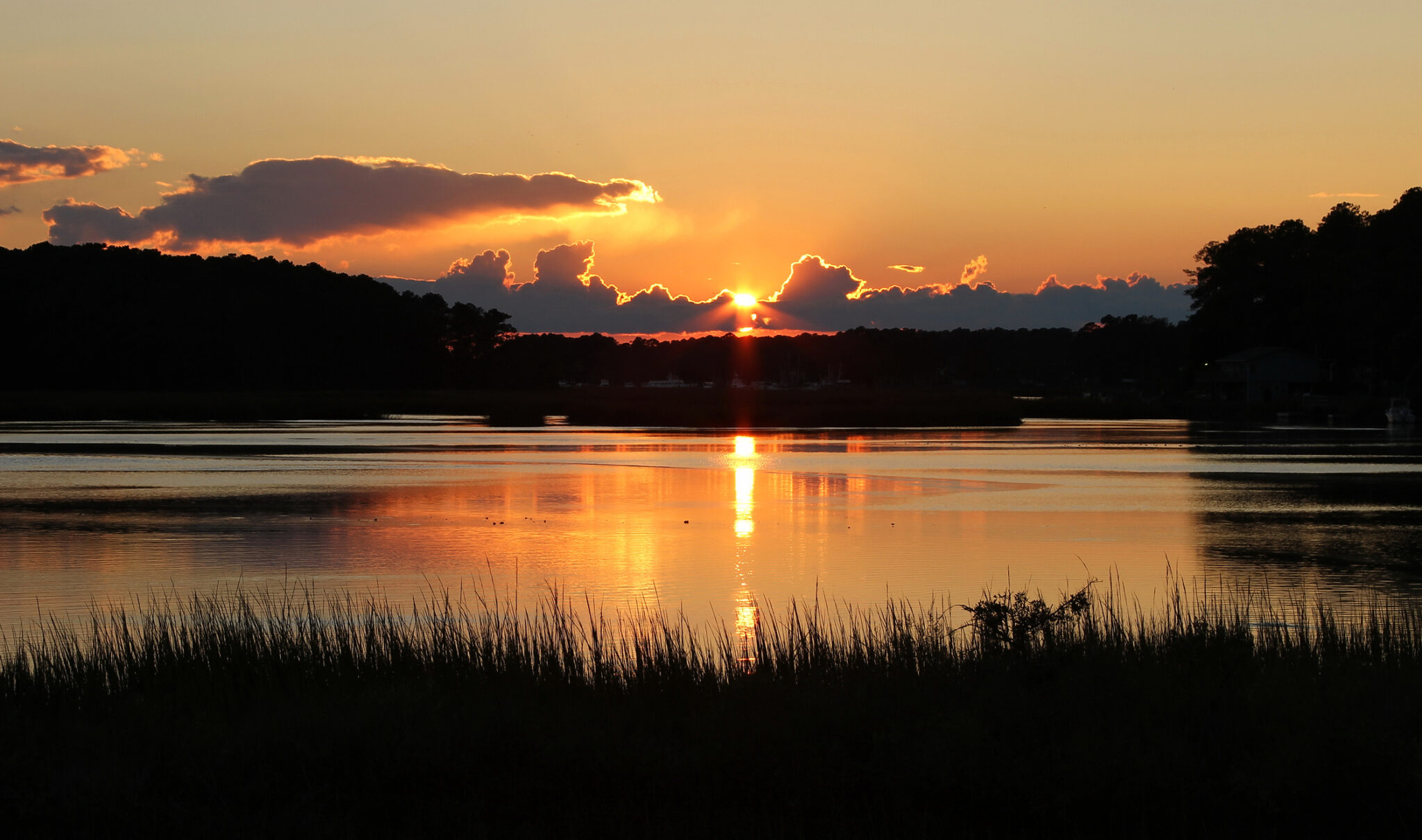 Calabash Summer Concert Series 2025